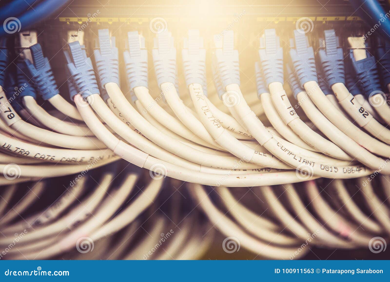 Network cables connected stock image. Image of patch - 100911563