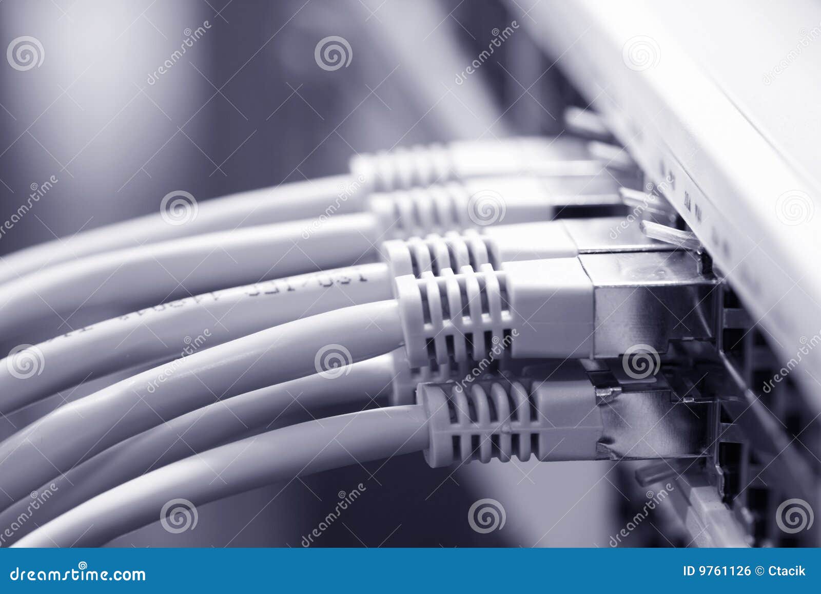 Network Cables Connected To a Switch Stock Photo - Image of file ...