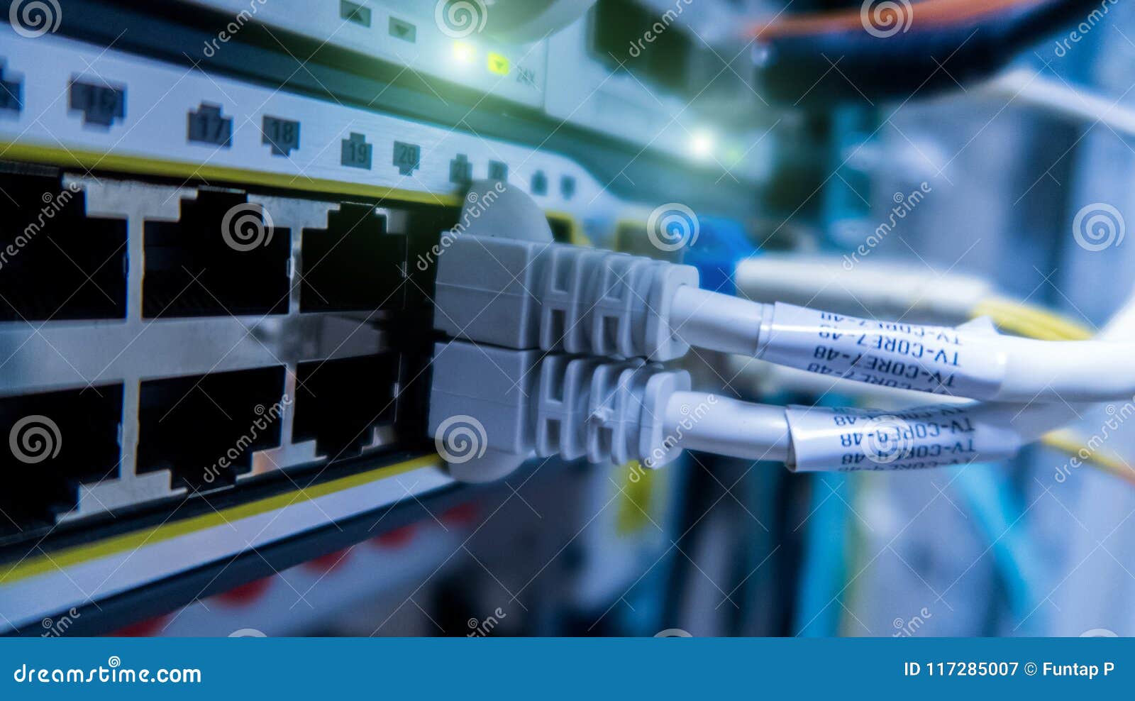 Network Cables Connected To Switch. Network Hub. Stock Image - Image of ... Network Cables Connected To Switch. Network Hub. Stock Image - Image of ...