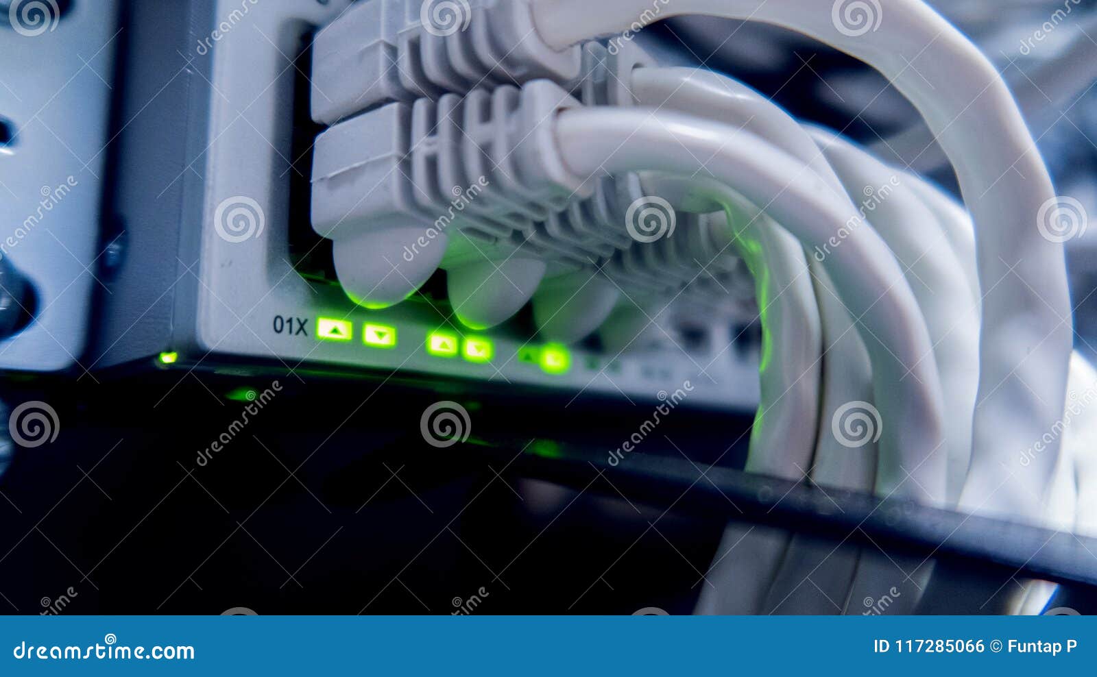 Network Cables Connected To Switch. Network Hub. Stock Photo - Image of ...