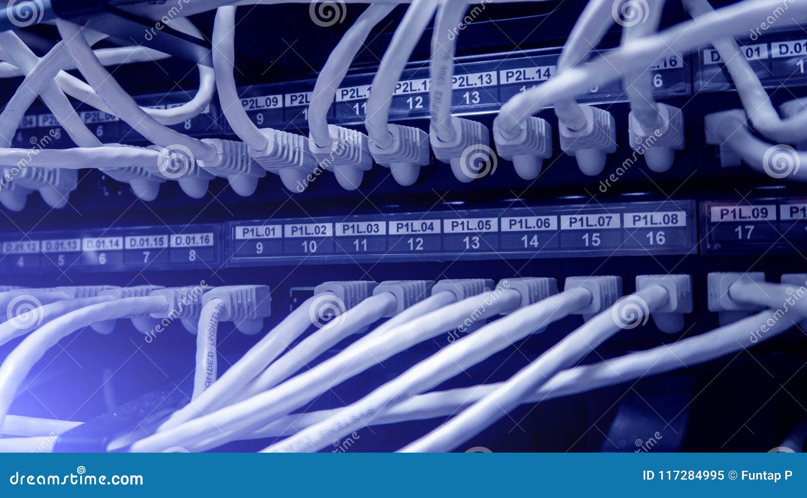Network Cables Connected To Switch. Network Hub. Stock Image - Image of ...