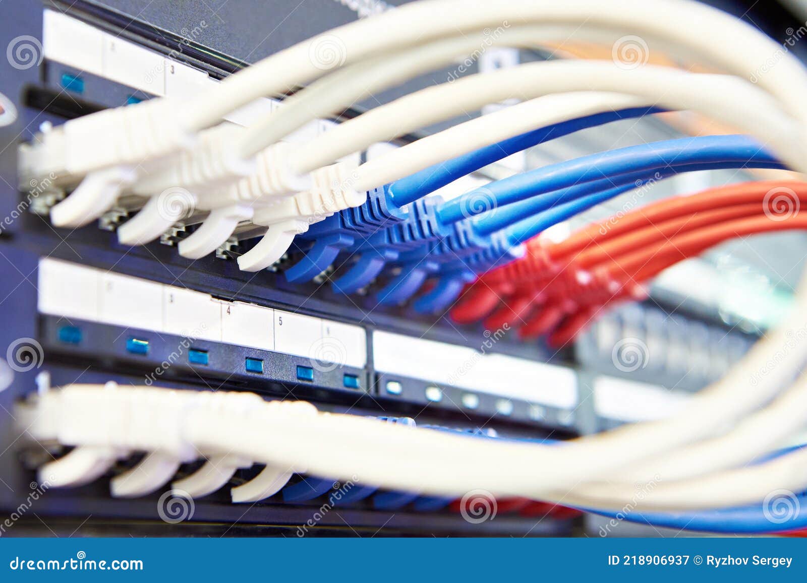 Network Cables with Connectors on Switch Stock Image - Image of ...