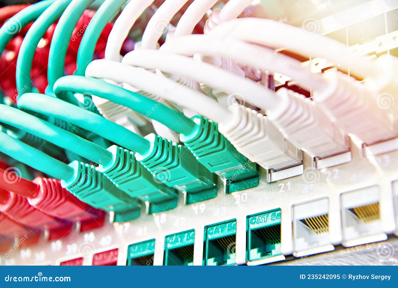 Network Cables with Connectors on Switch Stock Image - Image of connect ...