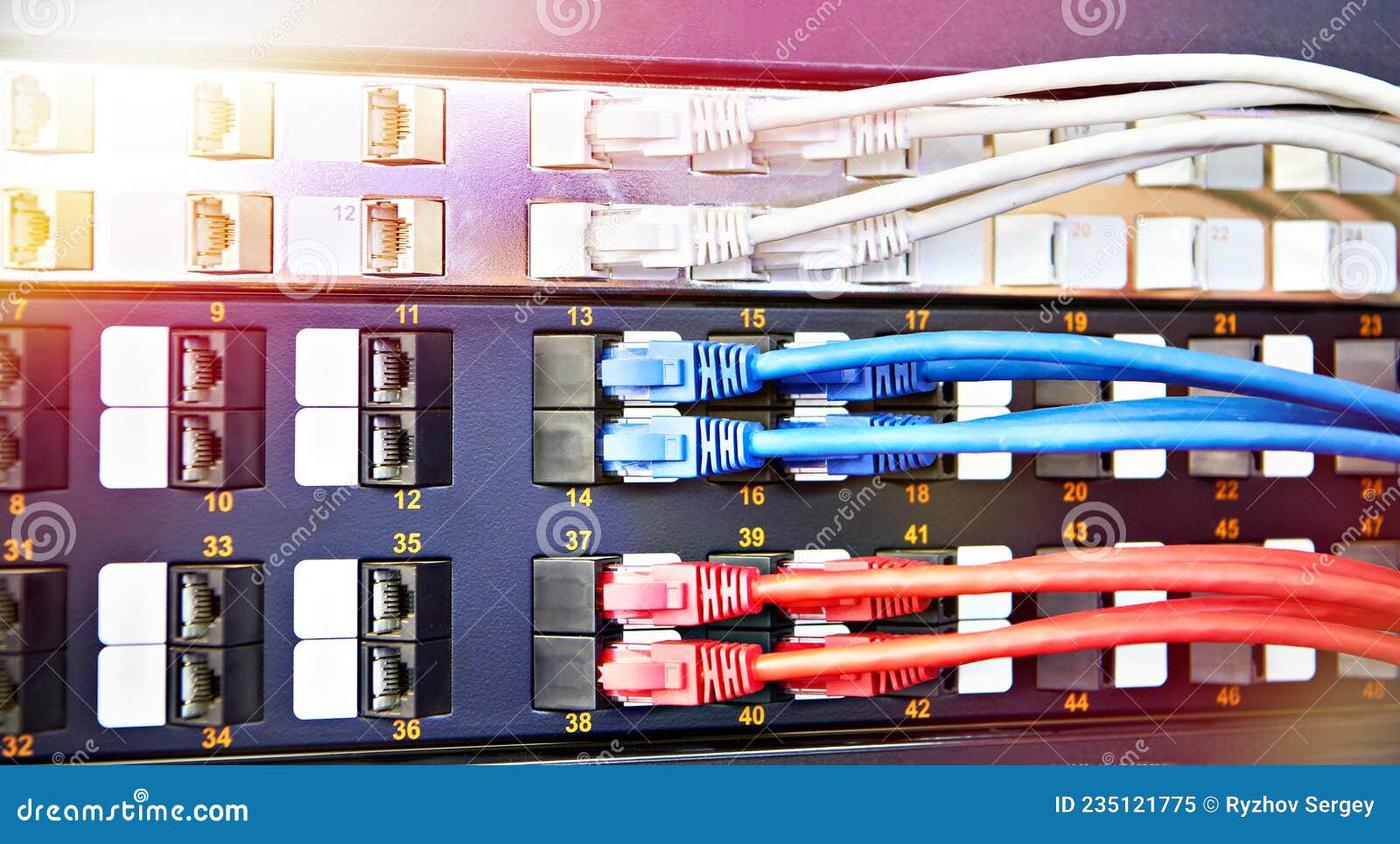 Network Cables with Connectors Switch Stock Image - Image of networking ...