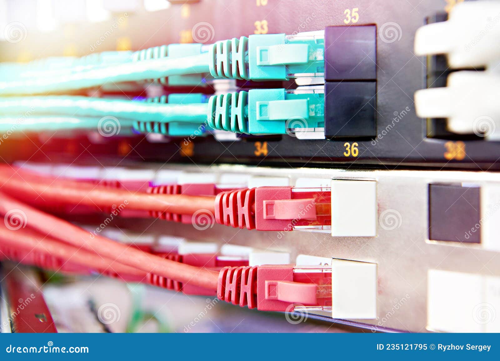 Network Cables with Connectors on Switch Stock Image - Image of ...