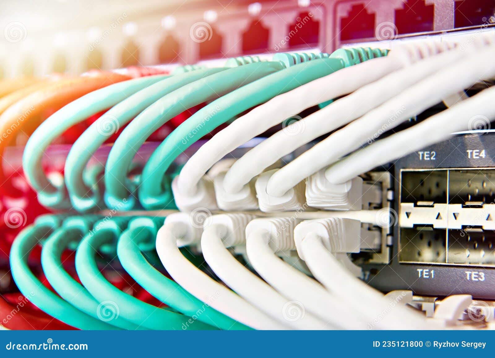 Network Cables with Connectors on Switch Stock Photo - Image of ...