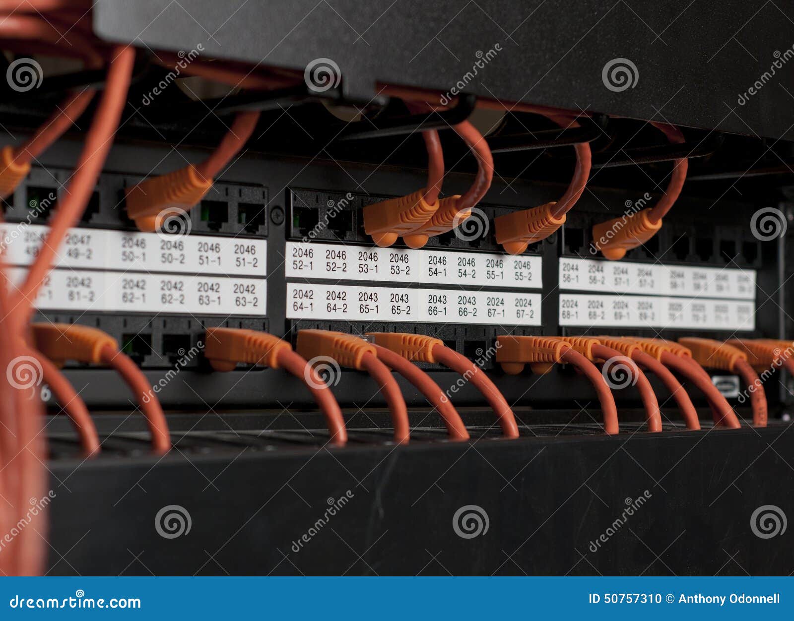 Network Cables stock photo. Image of cloud, asset, computer - 50757310