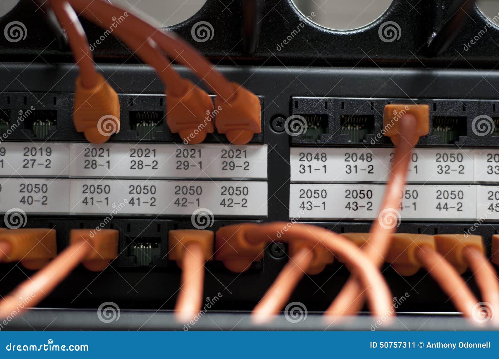 Network Cables stock image. Image of ethernet, company - 50757311