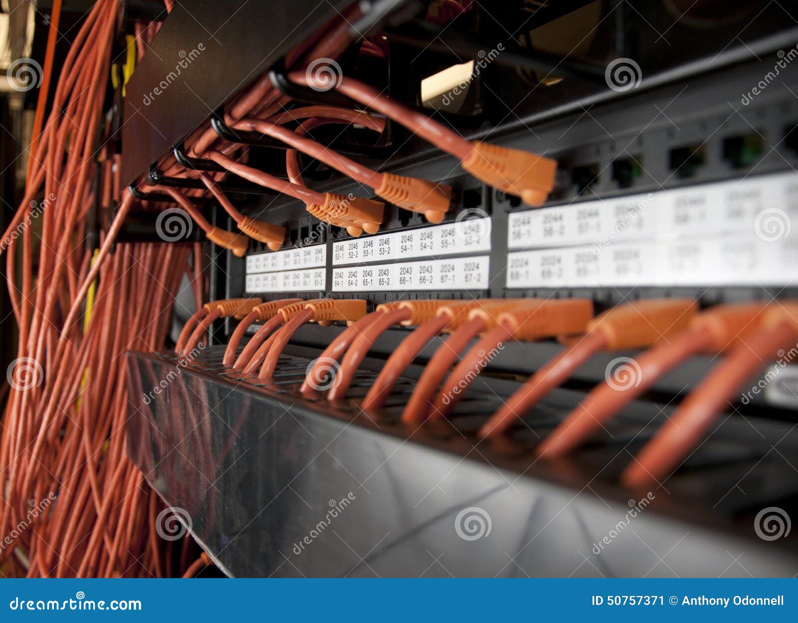 Network Cables stock image. Image of inovate, address - 50757371
