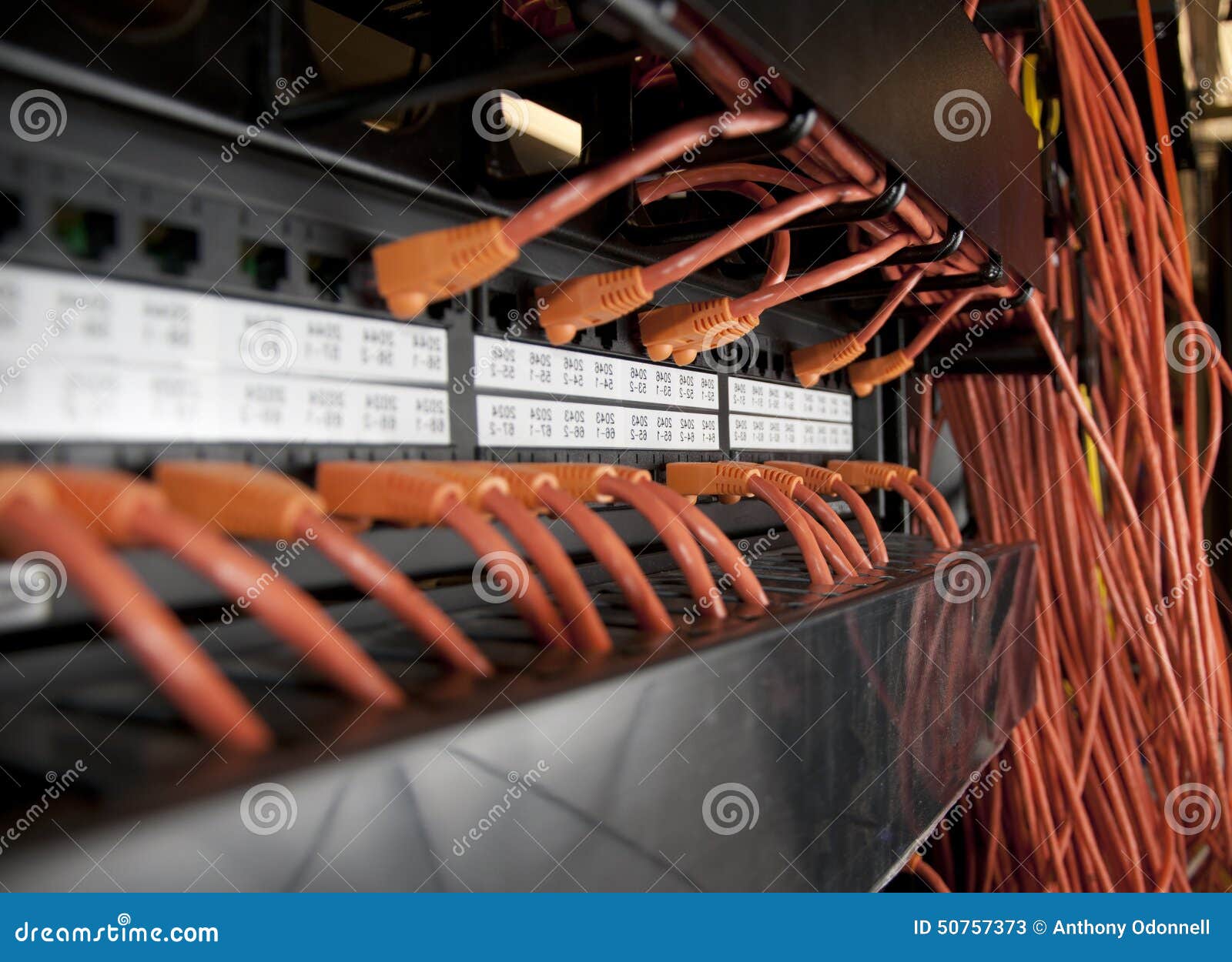 Network Cables stock image. Image of broadband, ethernet - 50757373