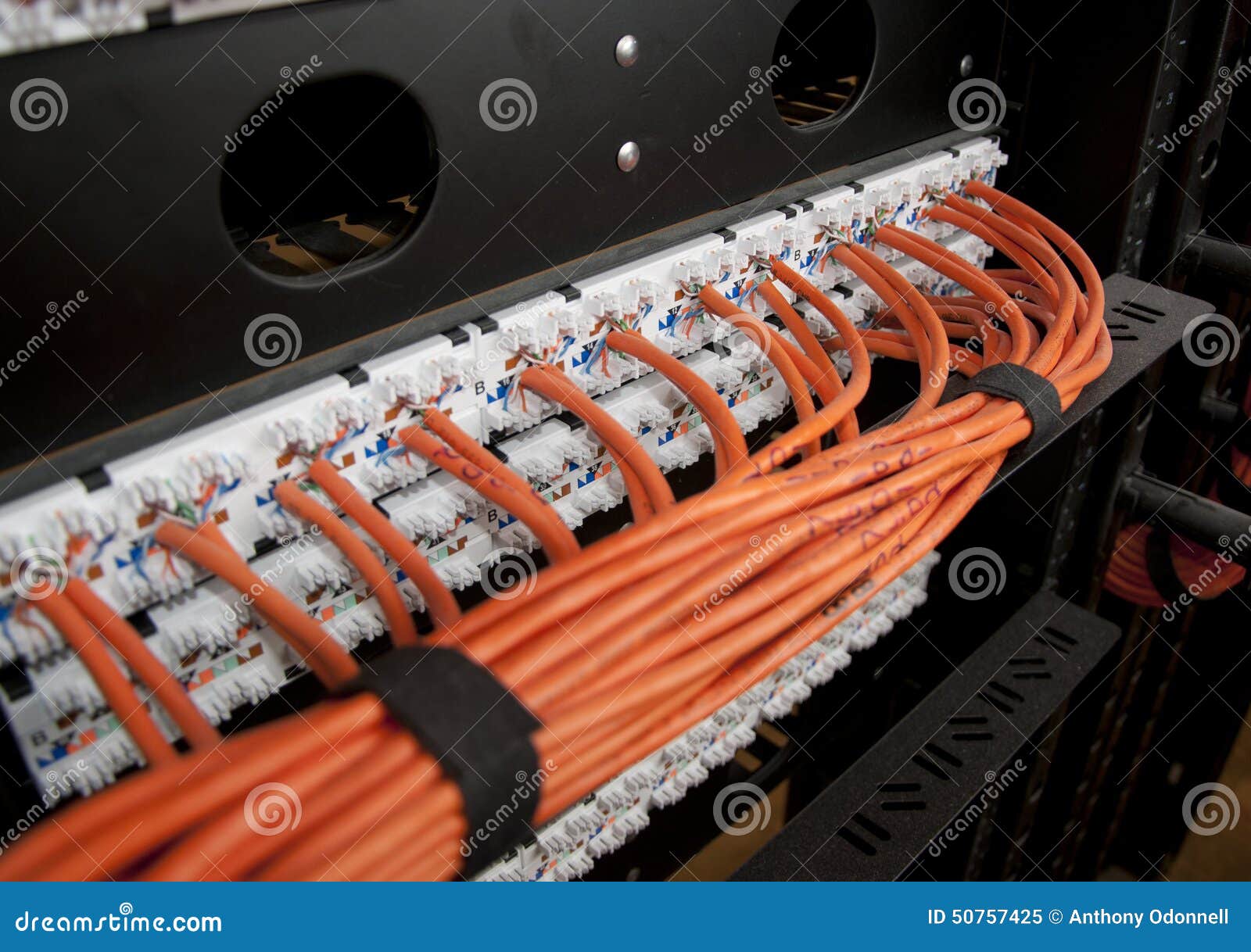 Network Cables stock image. Image of network, broadband - 50757425