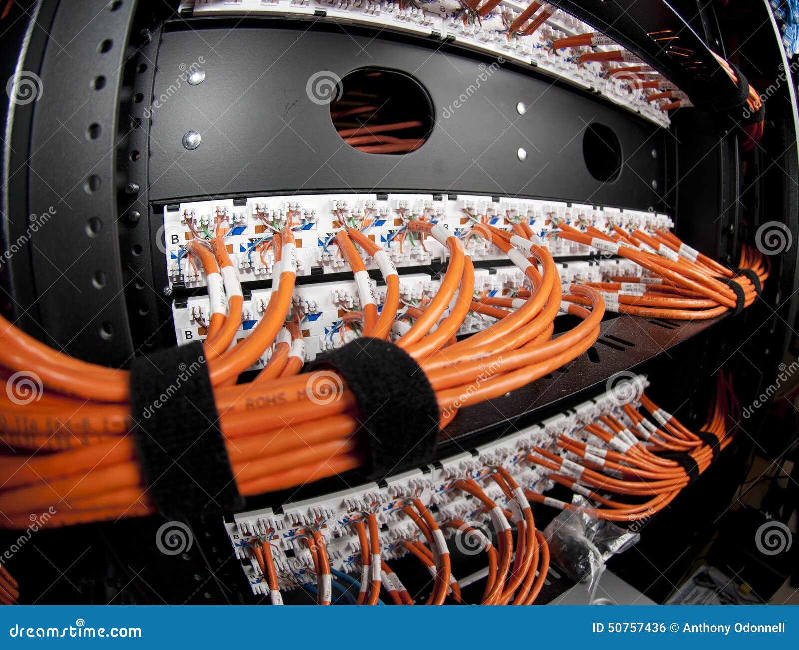 Network Cables stock photo. Image of computer, label - 50757436