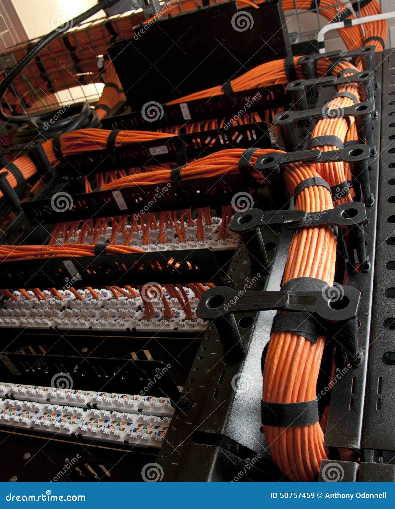 Network Cables stock image. Image of equipment, cloud - 50757459