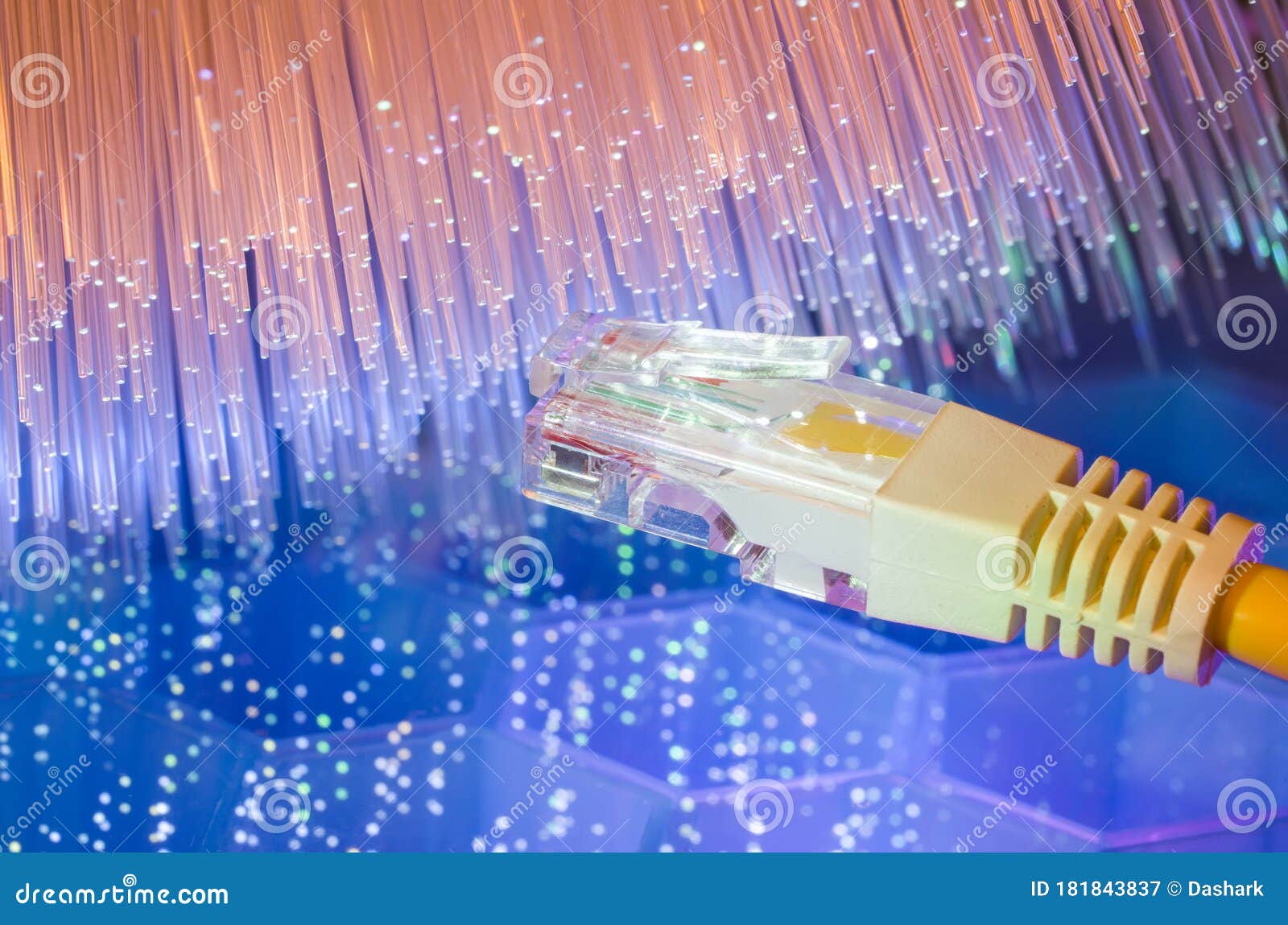 Network Cables with Fiber Optic Stock Image - Image of connect ...
