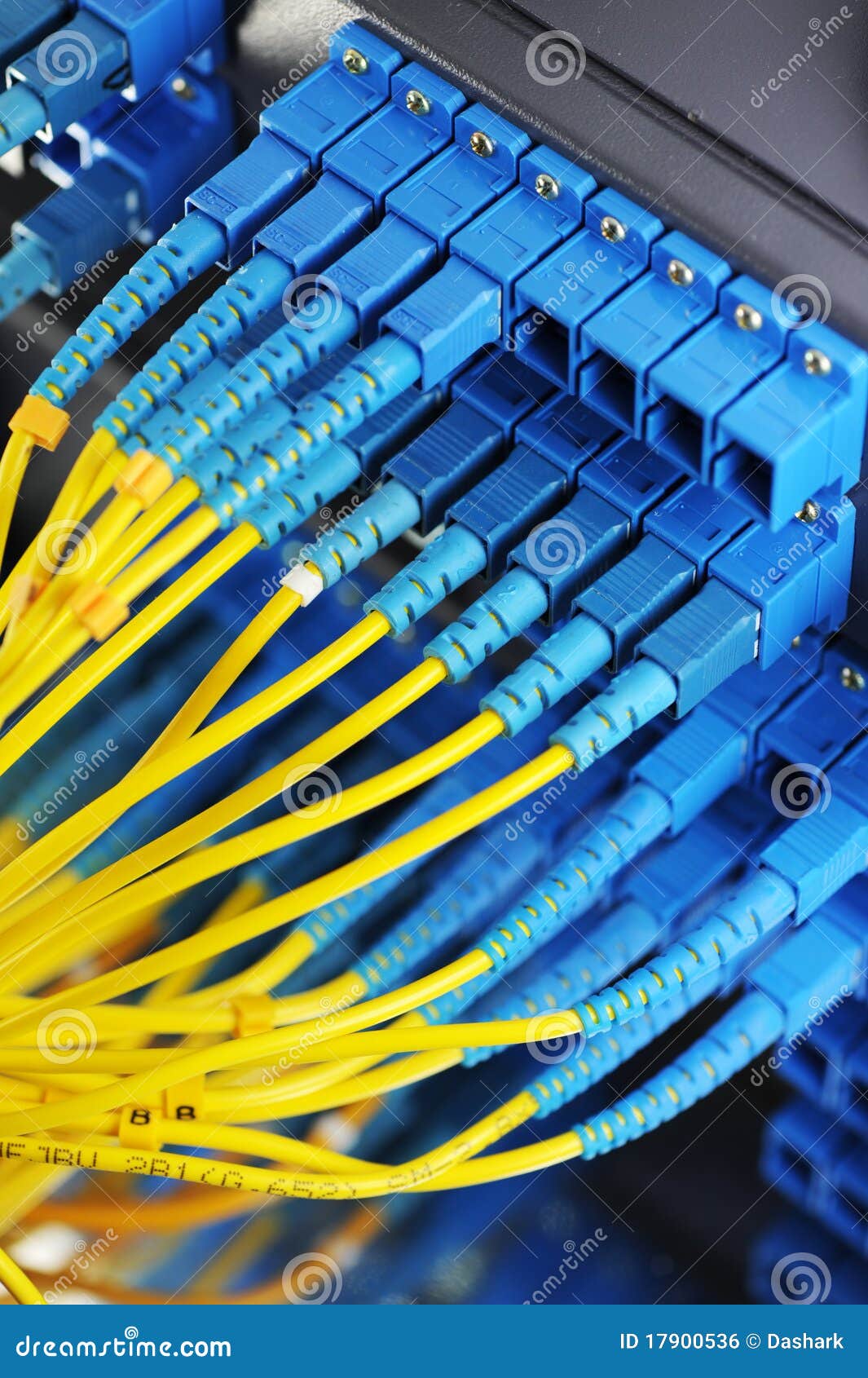 Network cables and hub stock photo. Image of closeup - 17900536