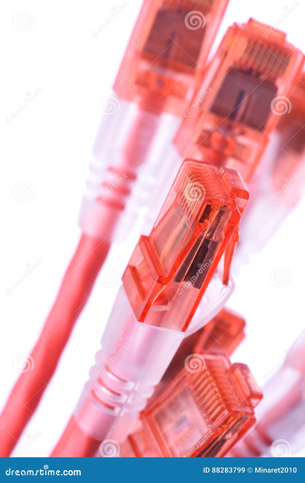Network Cables Isolated on White Background Stock Image - Image of ...