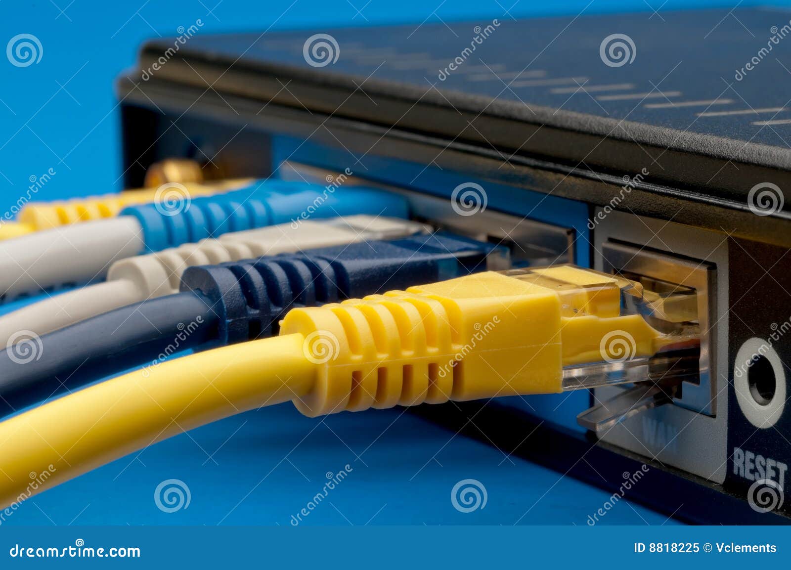 Network Cables Plugged into a Router Stock Image - Image of blue ...