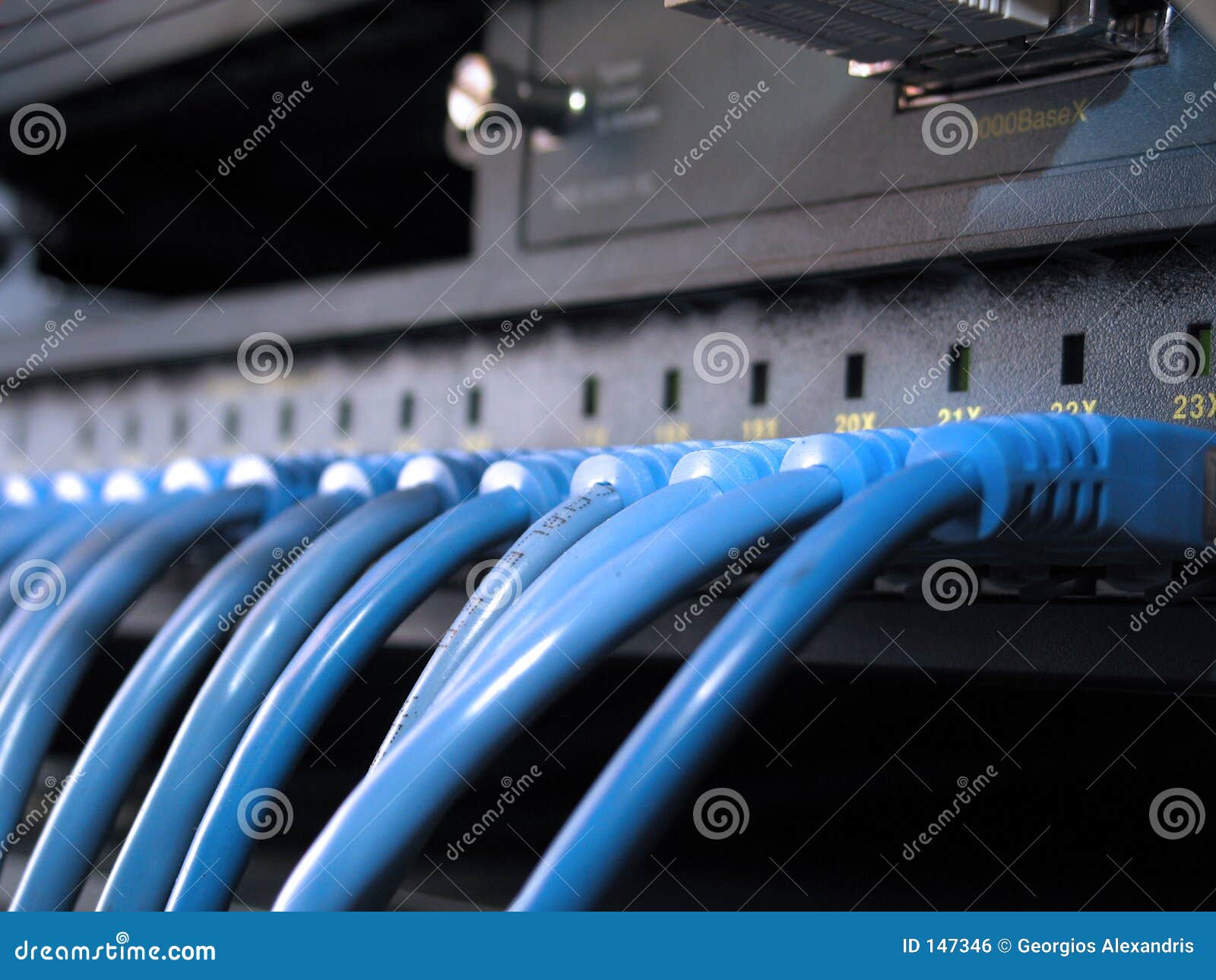 Network Cables Row stock photo. Image of connection, ports - 147346