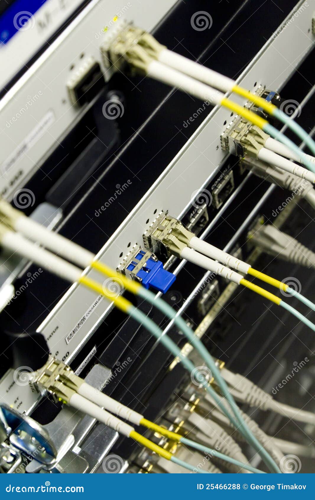 Network Cables and Servers in a Technology Media D Stock Photo - Image ...