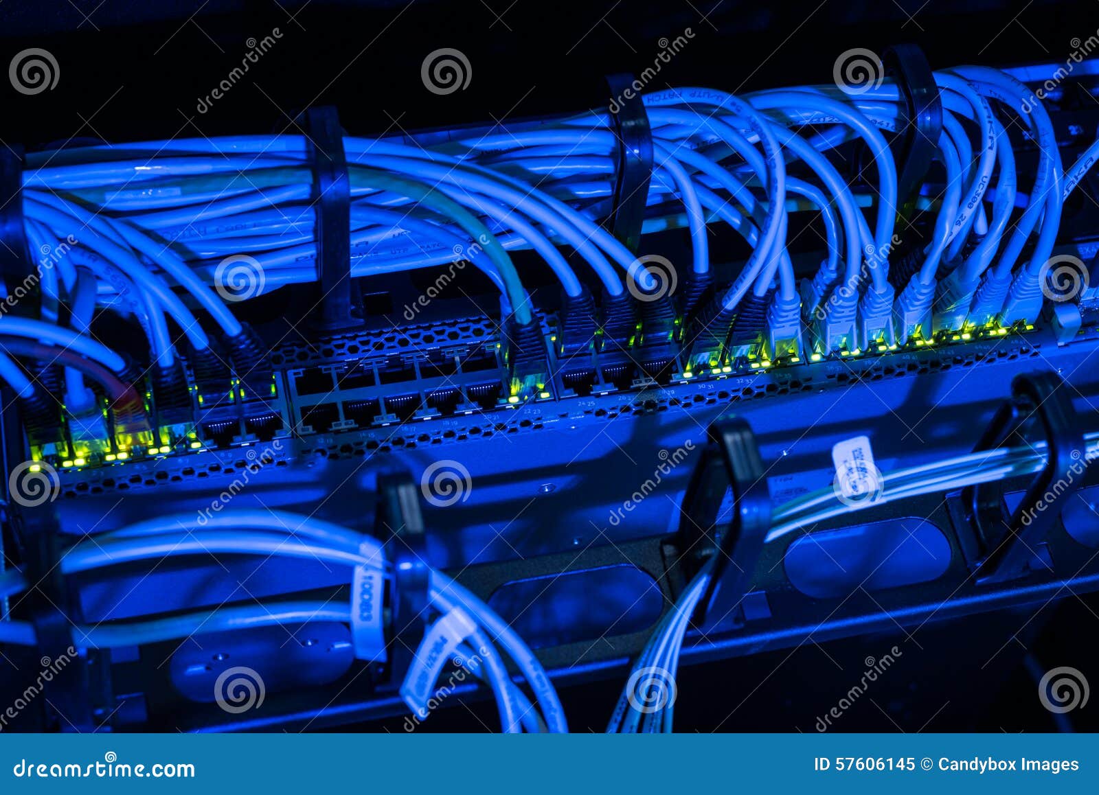 Network cables in switch stock image. Image of server - 57606145