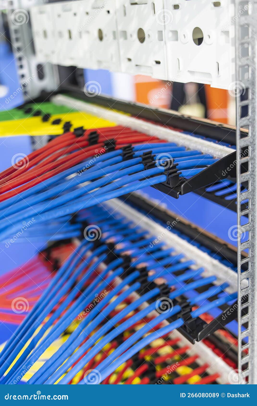 Network Cables in Switch and Firewall Stock Image - Image of internet ...