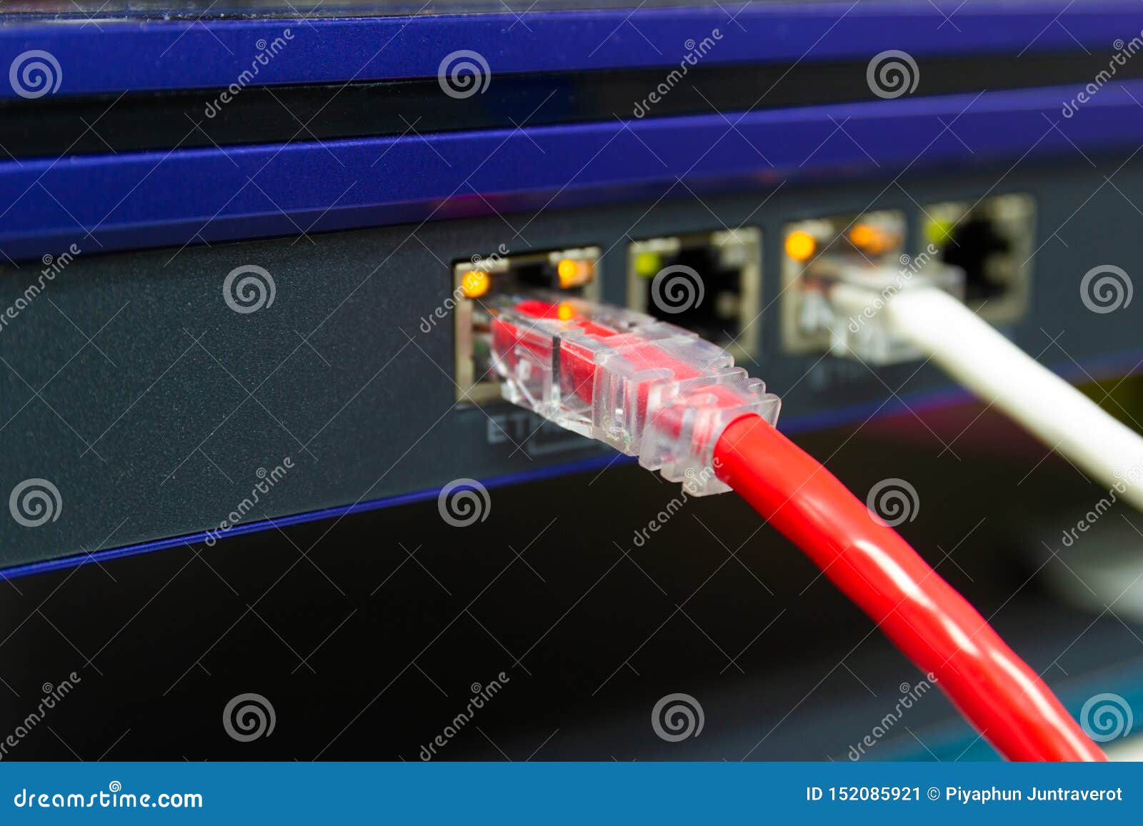 The Network Cables To Connect Lan Port Stock Image - Image of closeup ...