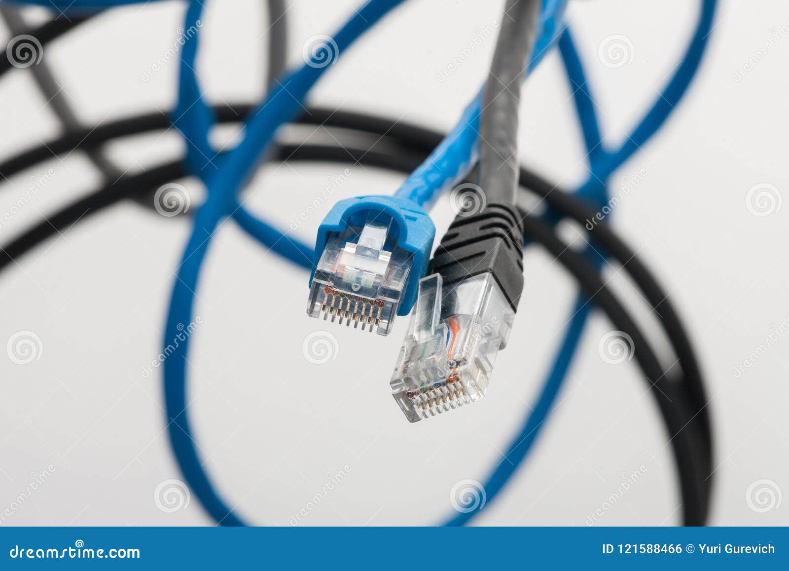 Network Cables RG-45 Network Connection Connectors Close-up Stock Photo ...
