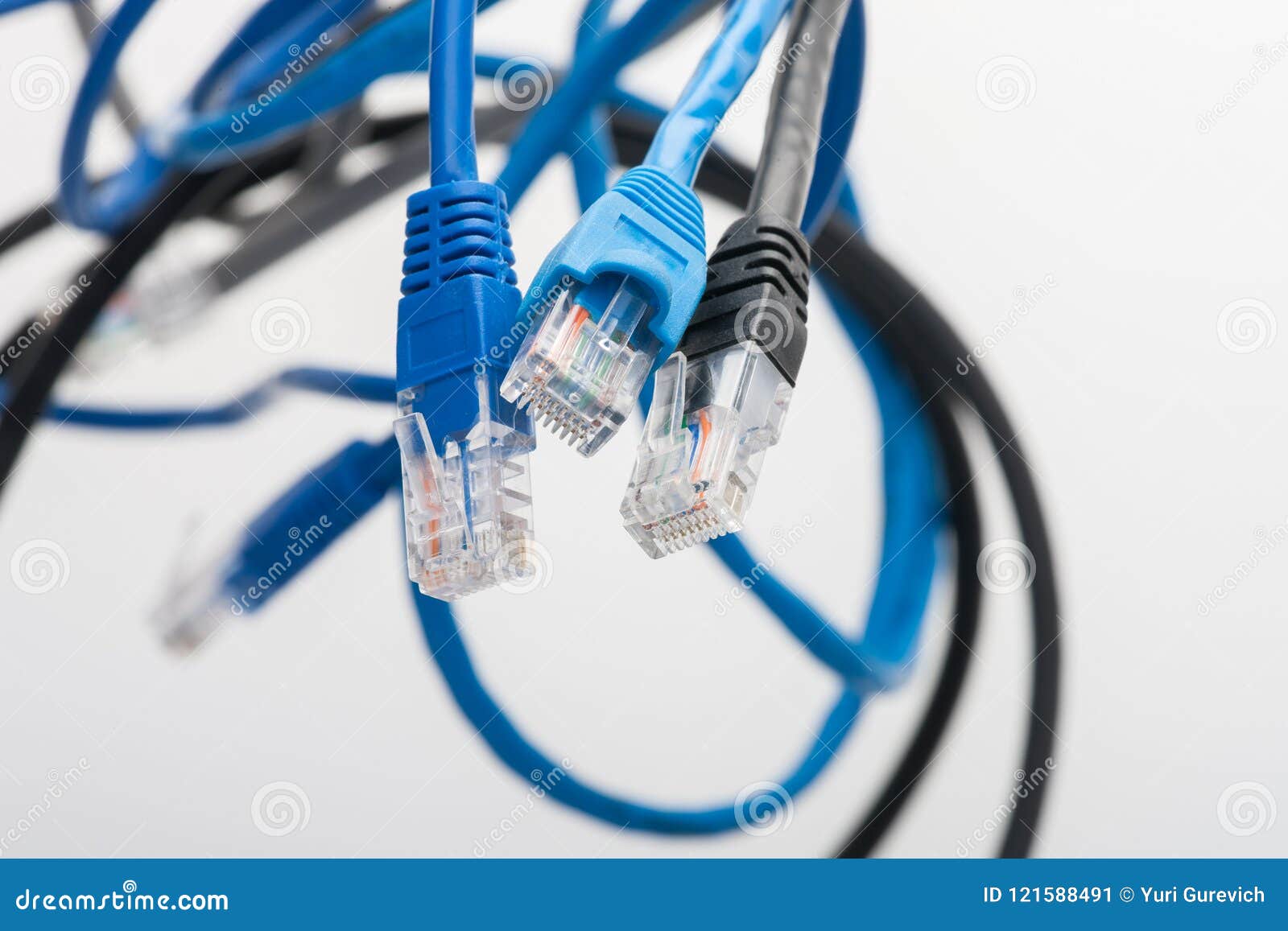 Network Cables RG-45 Network Connection Connectors Close-up Stock Image ...