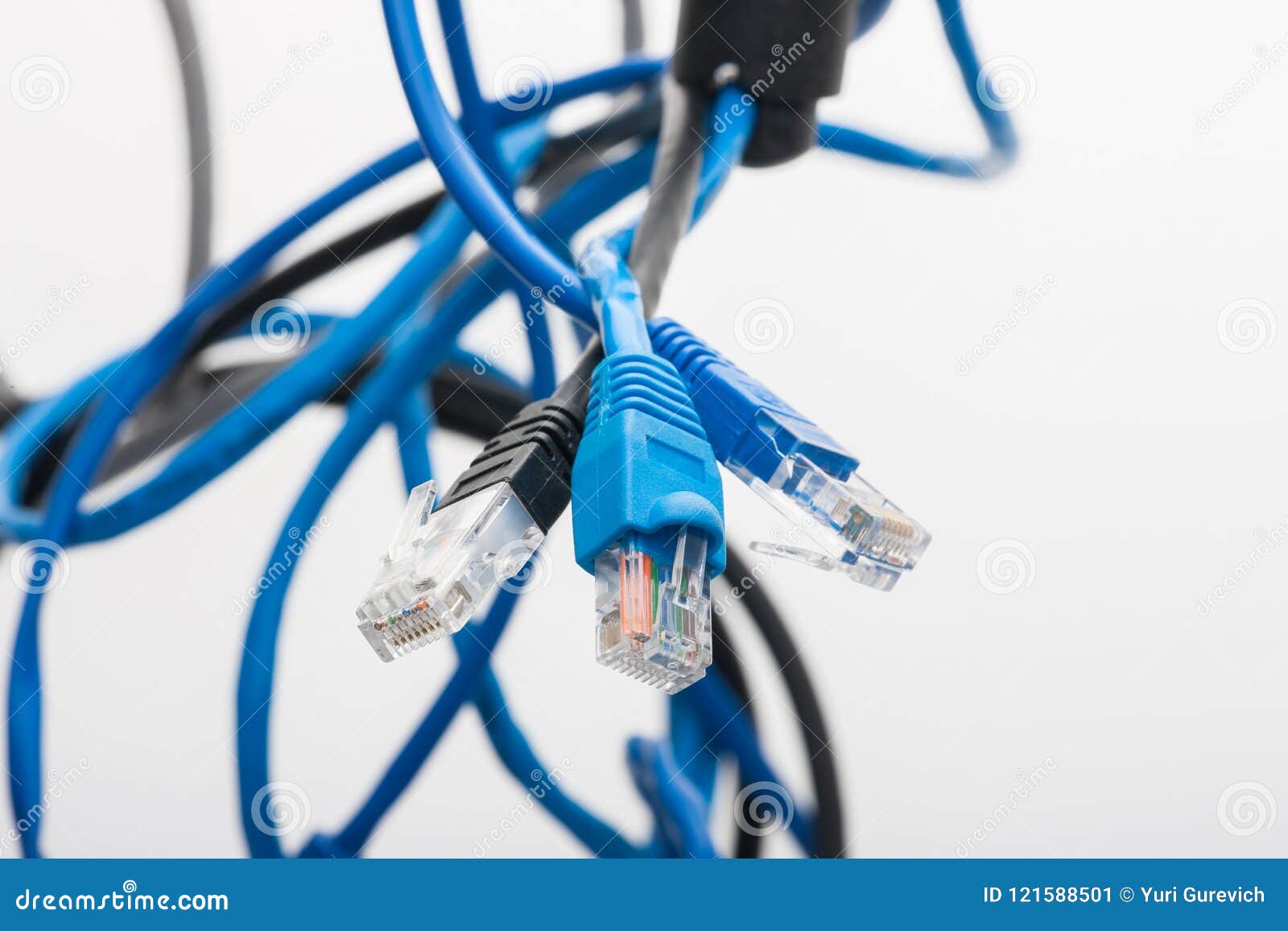 Network Cables RG-45 Network Connection Connectors Close-up Stock Image ...