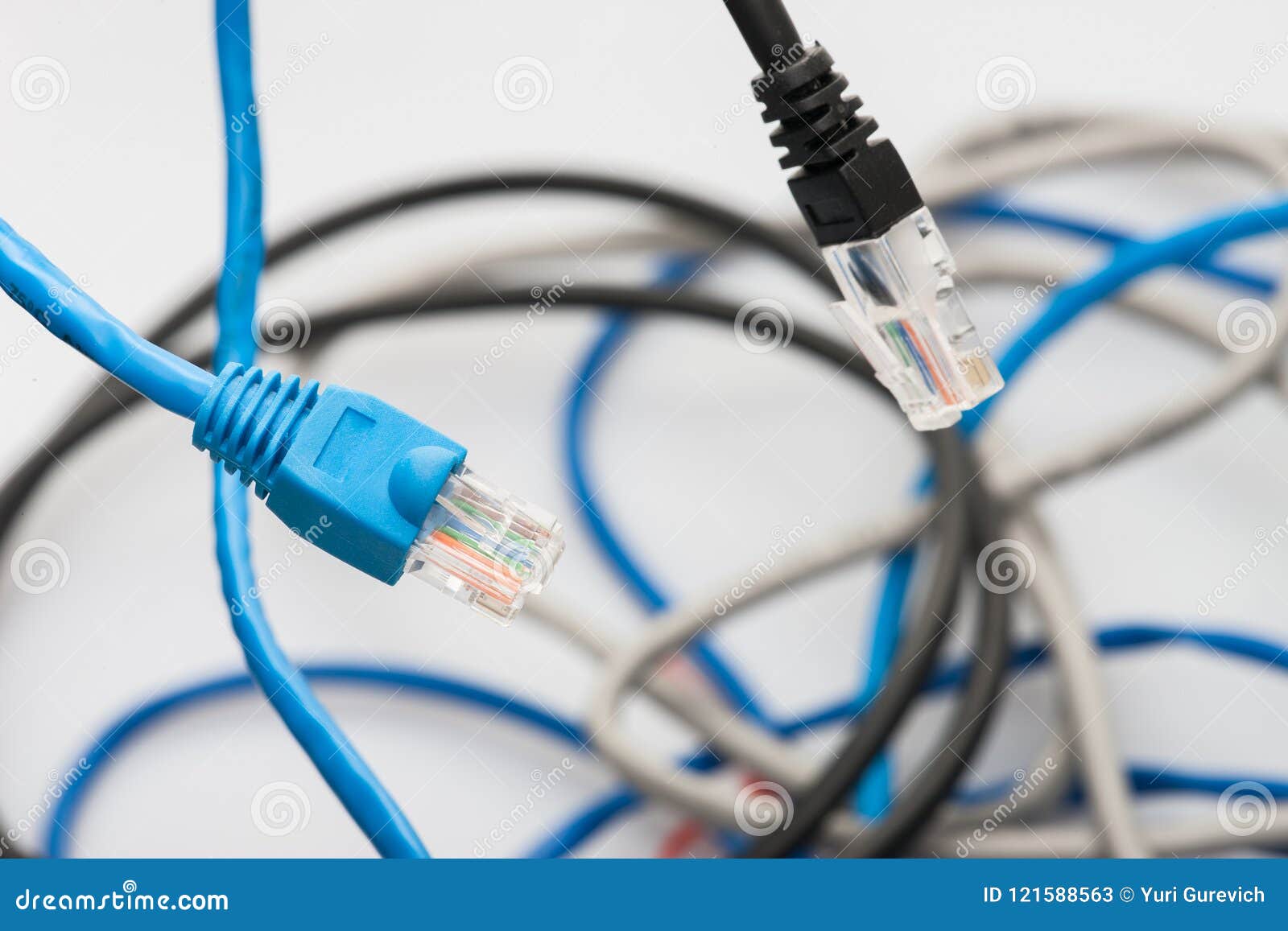 Network Cables RG-45 Network Connection Connectors Close-up Stock Image ...