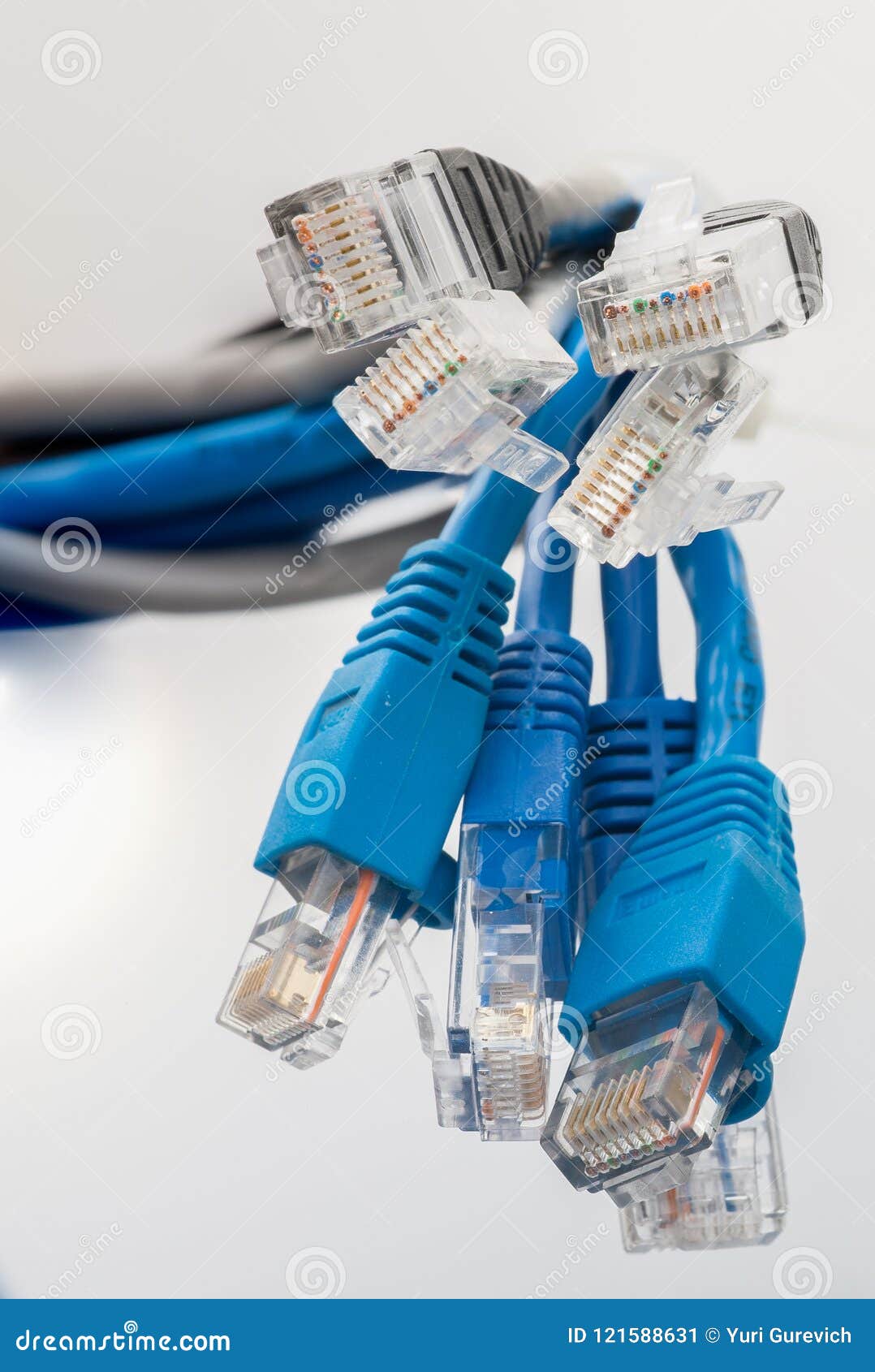 Network Cables RG-45 Network Connection Connectors Close-up Stock Image ...