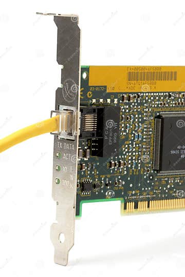 Network card with cable stock image. Image of ethernet - 1965501