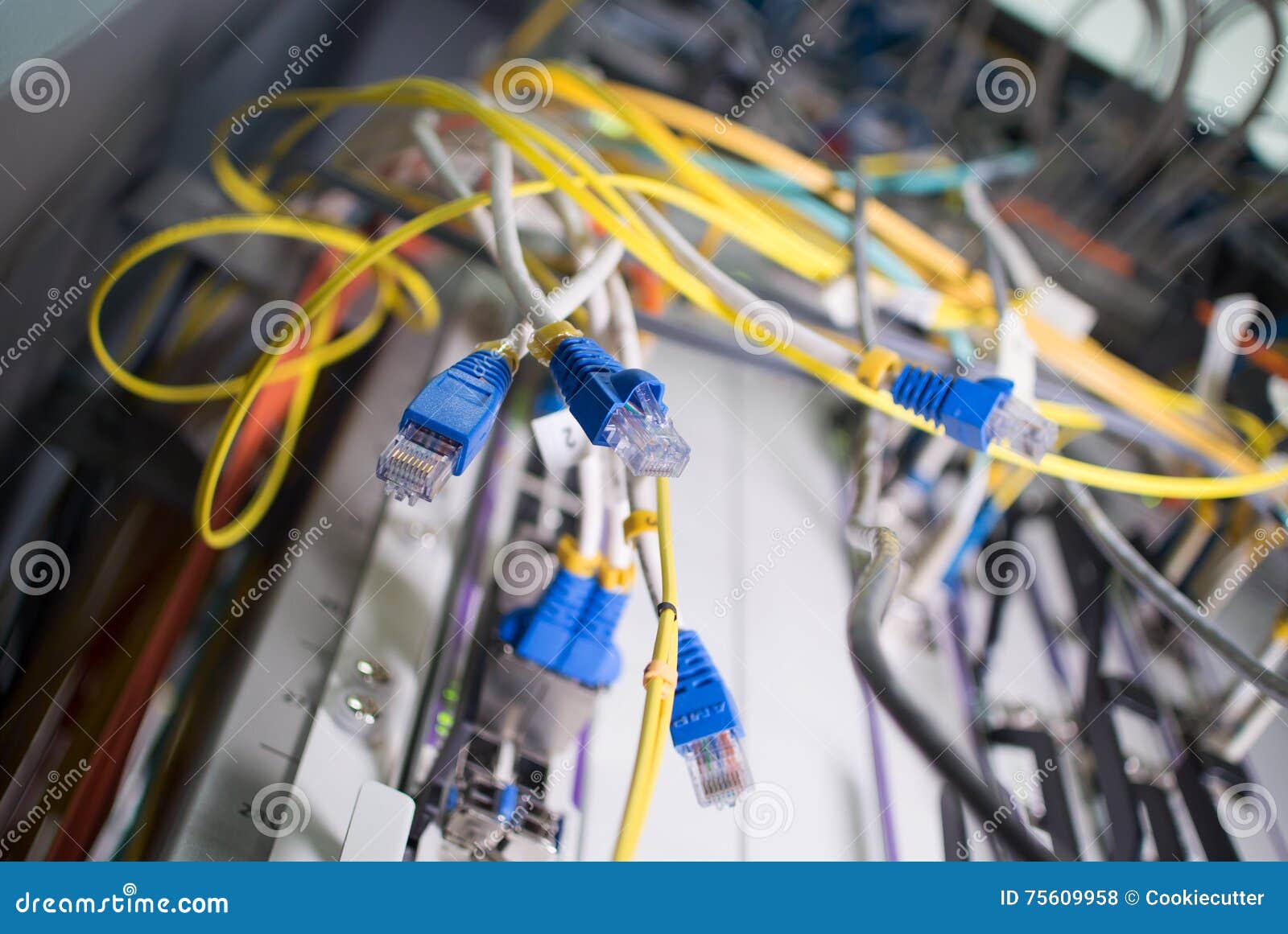 Network Connecting Computers Together in the Same Building As Li Stock ...