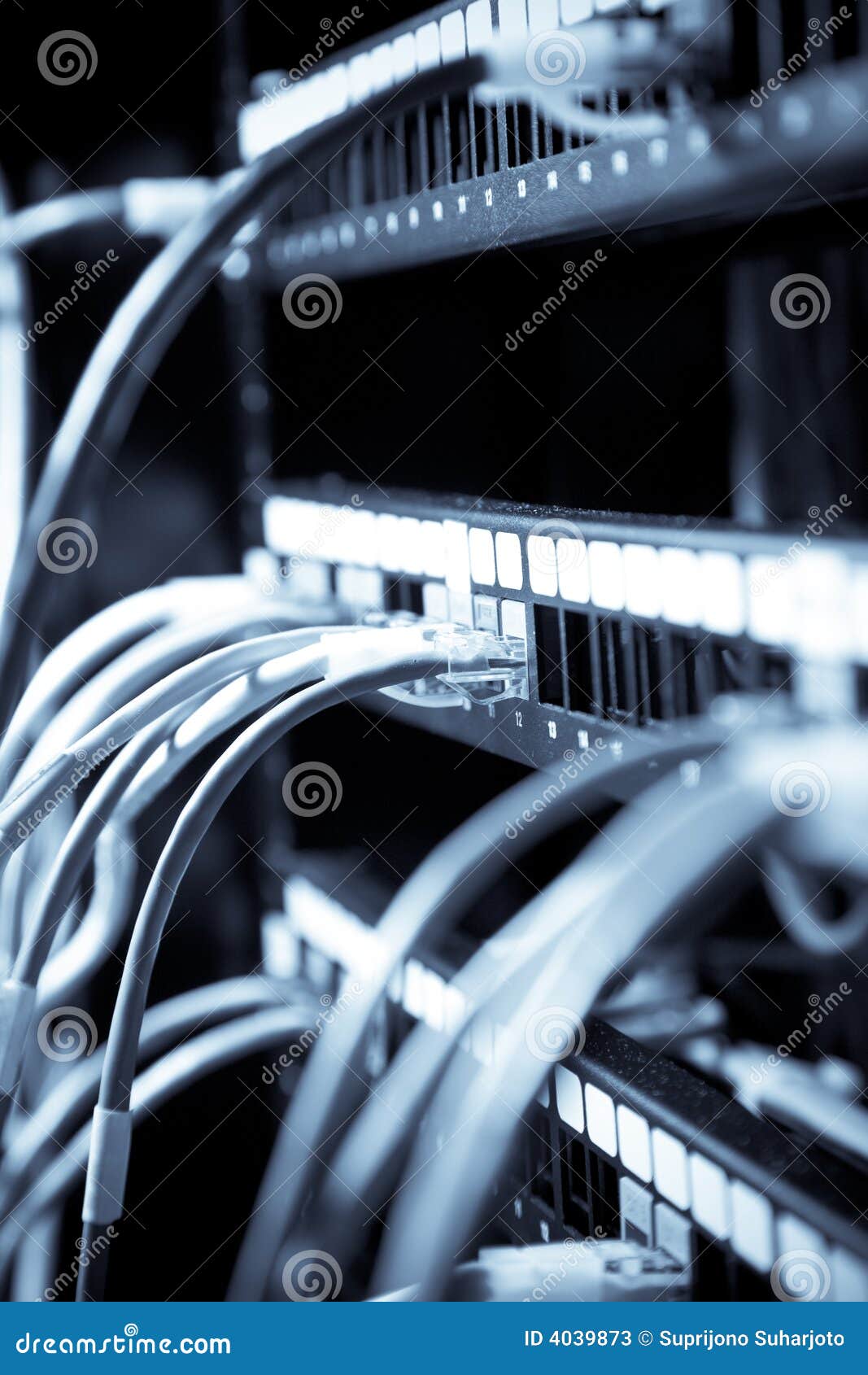 Network connection stock image. Image of transmit, fibre - 4039873