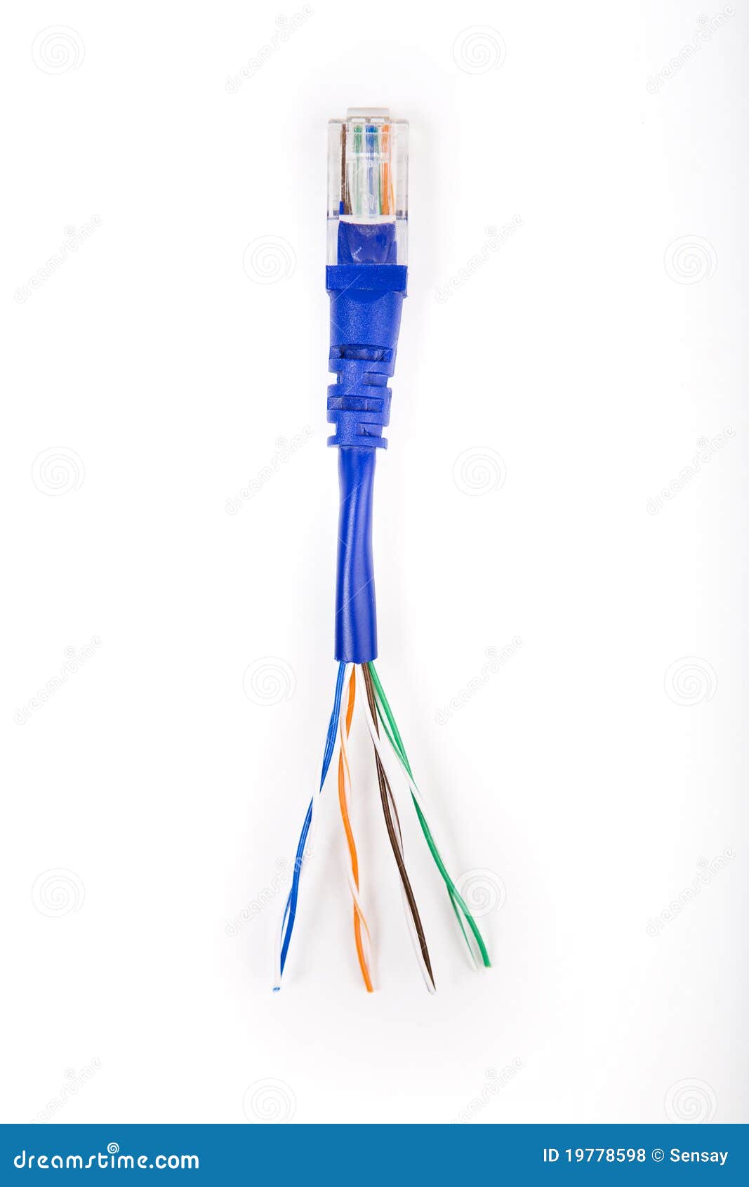 Network Connection Plug stock photo. Image of dscriptive - 19778598