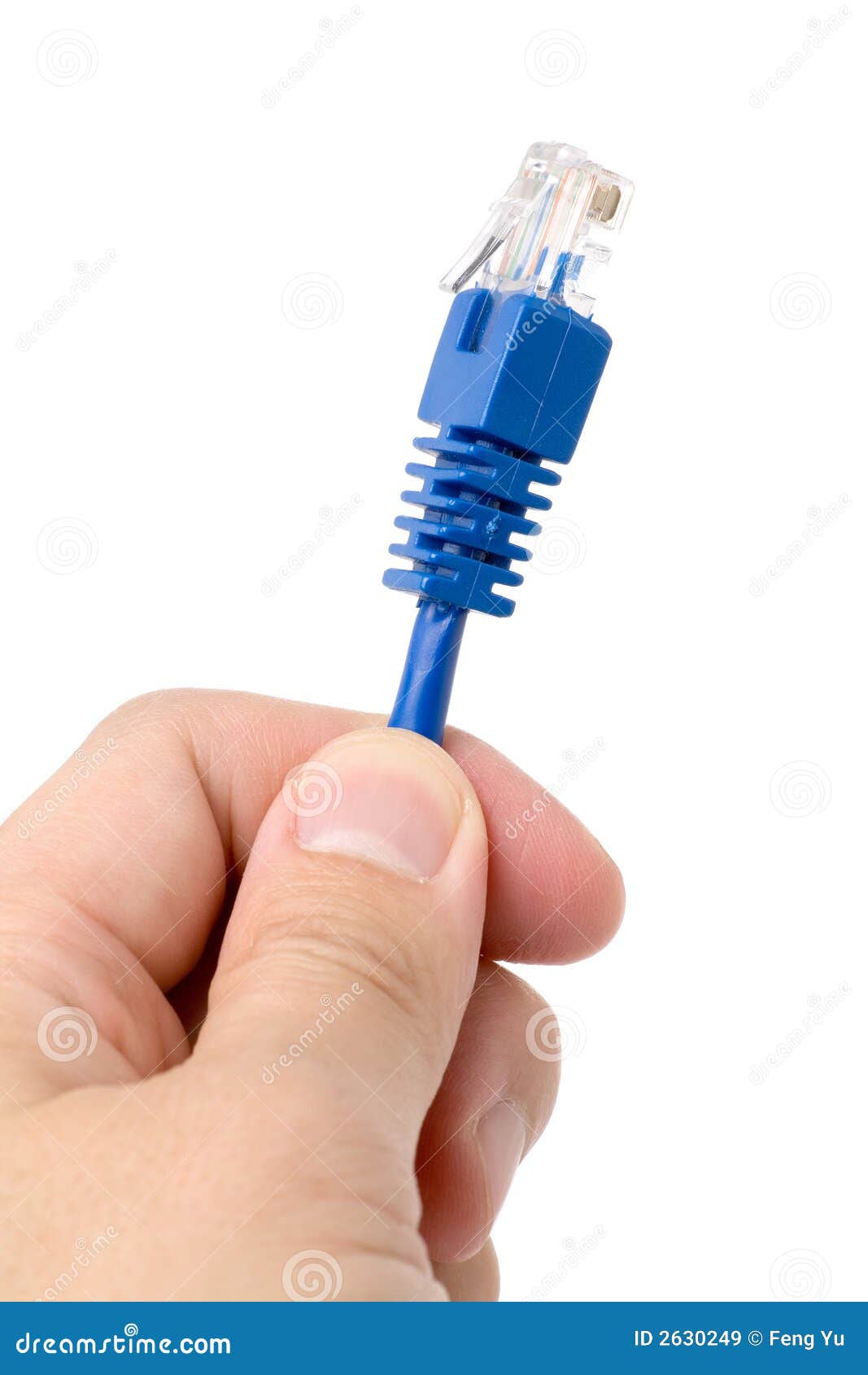 Network Connection Plug stock image. Image of connection - 2630249