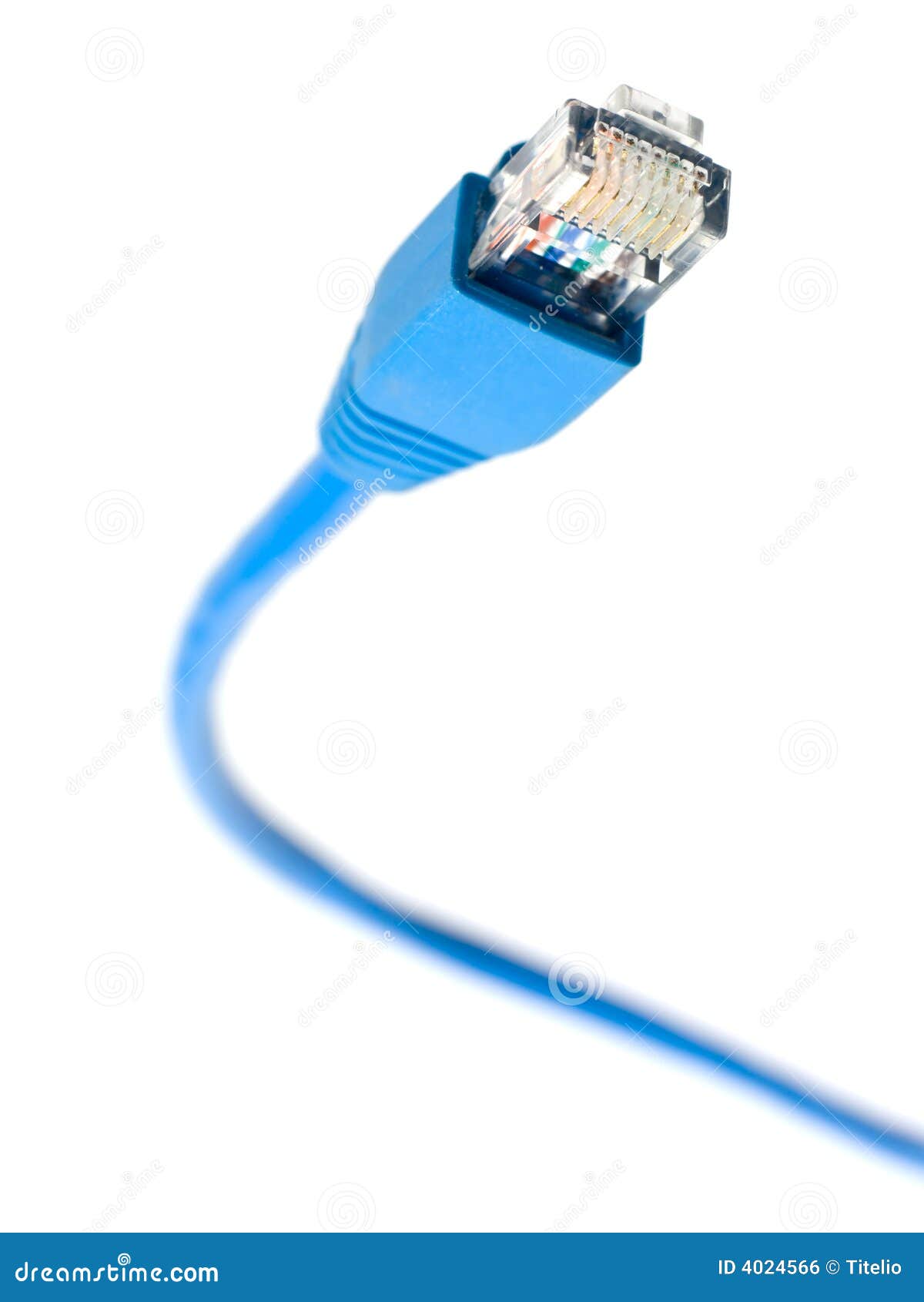 Network Connection Plug RJ-45 Stock Photo - Image of blue, data: 4024566