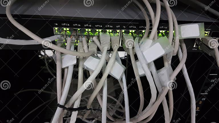 Network Connections Wires on Switch for Computer Internet Stock Photo ...
