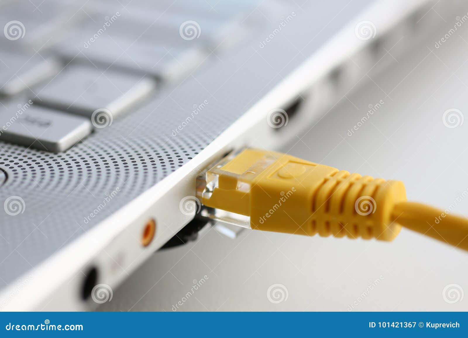 The Network Connector is Inserted into the Laptop Stock Image - Image ...