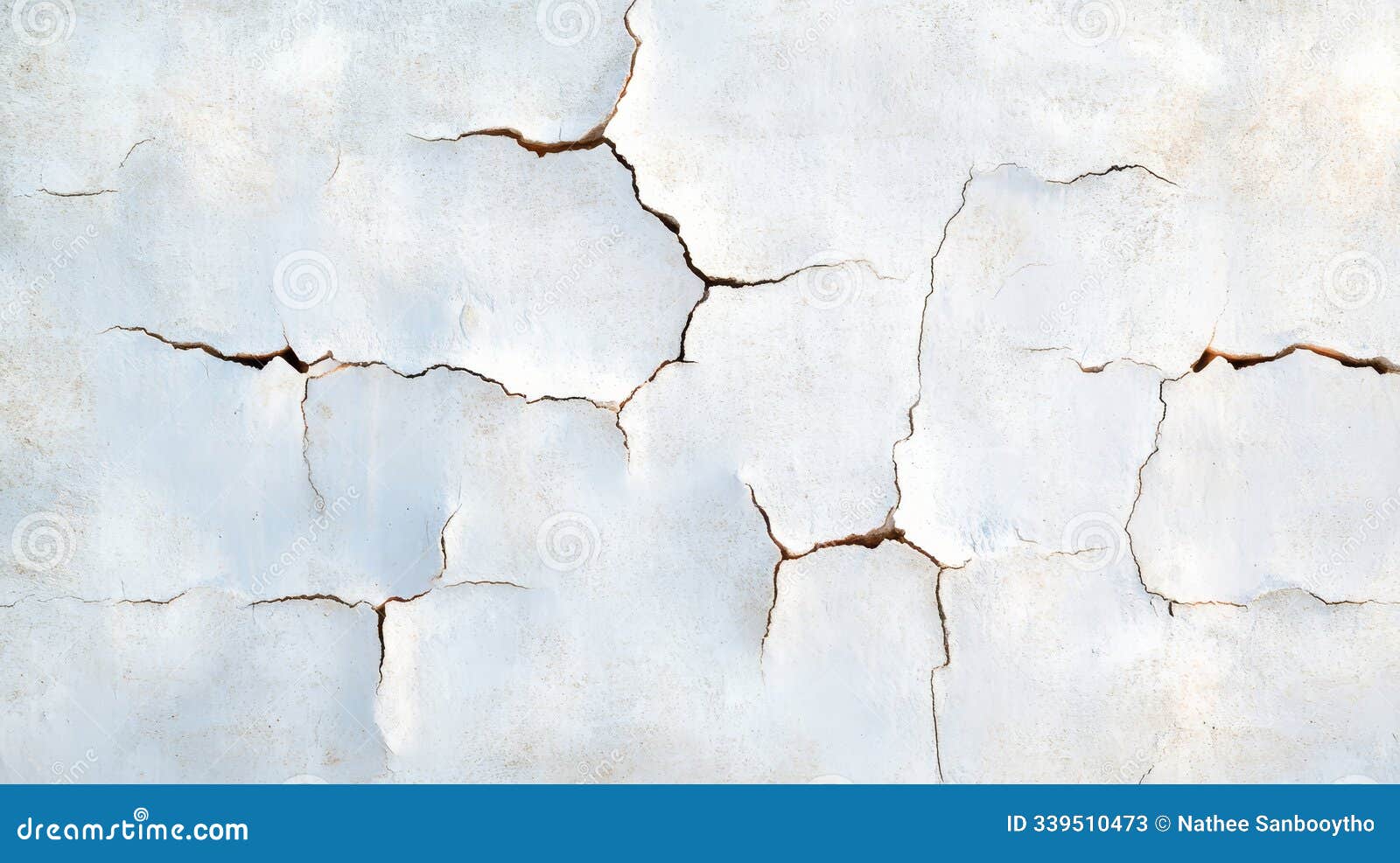 Network of Cracks, a Study of Texture and Decay on Damaged Wall Stock ...