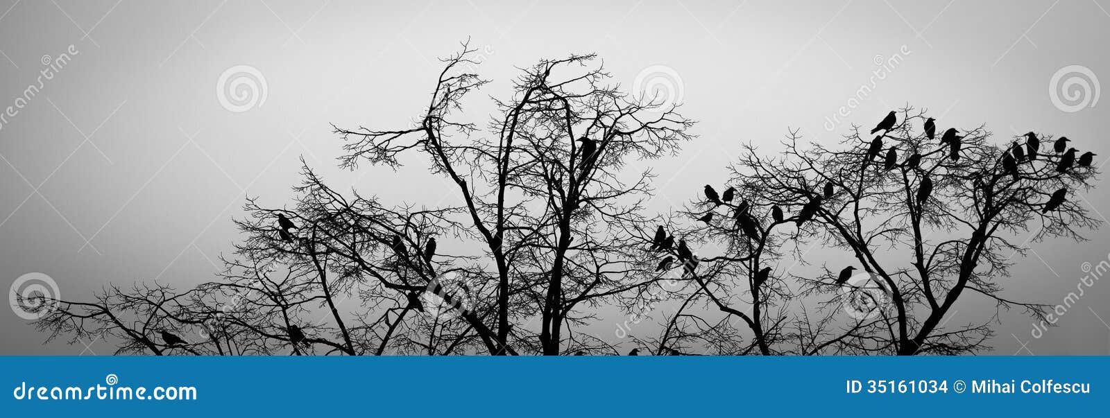 Network stock photo. Image of white, tree, connection - 35161034