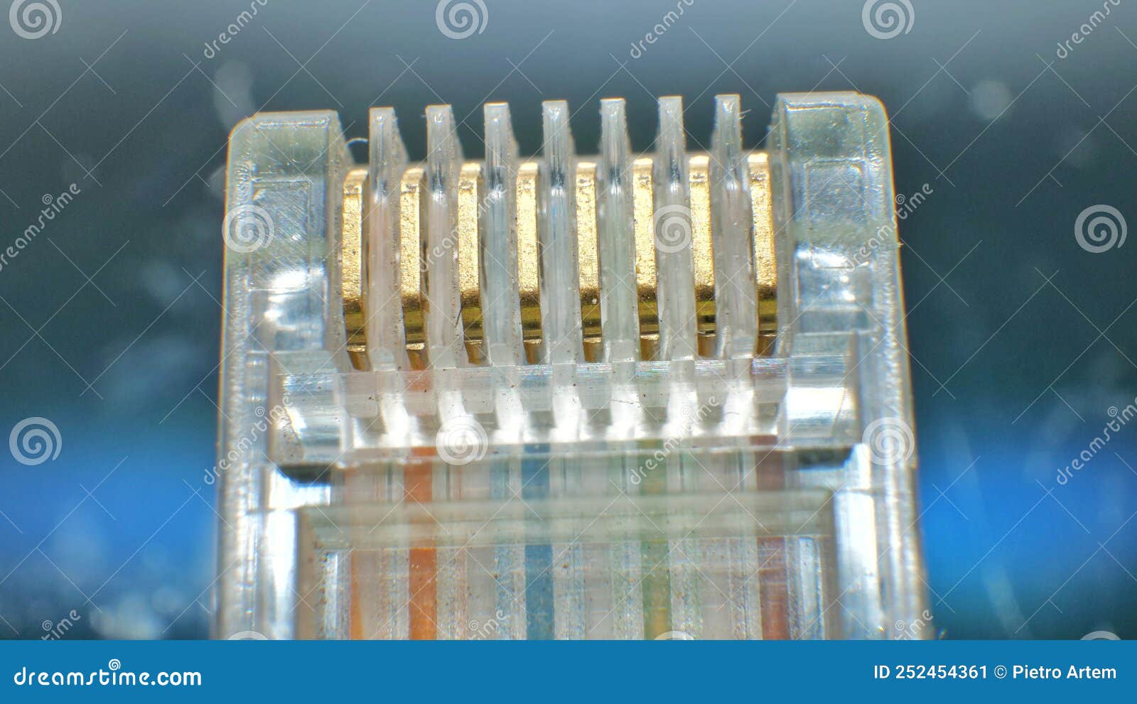 Network Data Internet Cable Connector RJ45 Close Up View. LAN Head ...