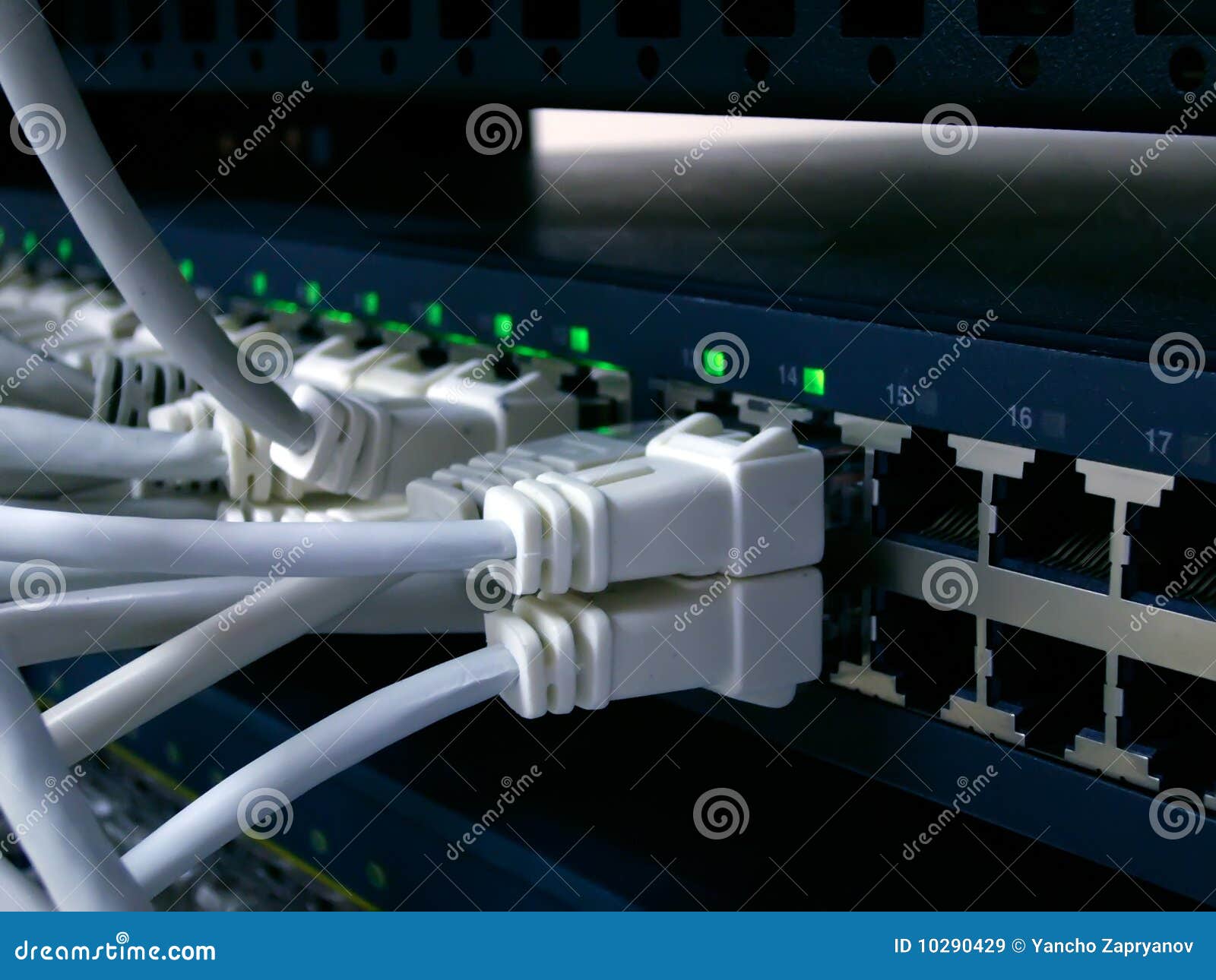 Network device stock image. Image of connect, wired, networking - 10290429