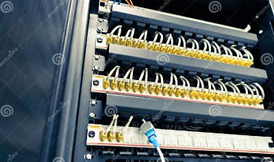 Network Ethernet Cables Connect To Switch Server Rack in Data Center ...