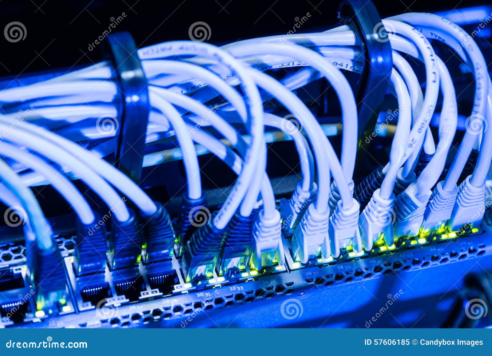 Network Ethernet Cables Plugged in Switch Stock Image - Image of ...