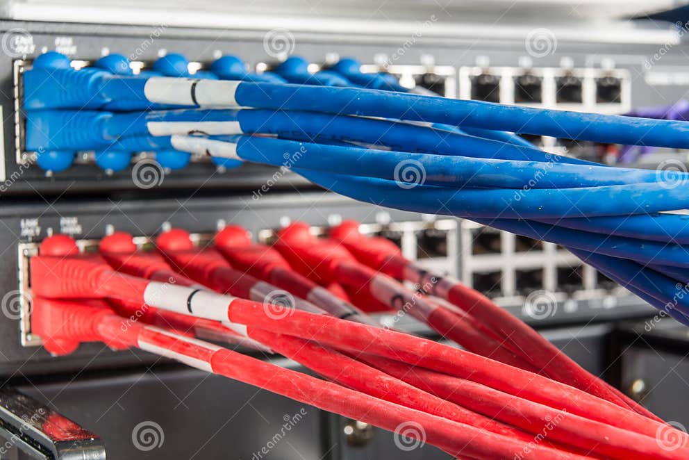 Network Hub and Patch Cables Stock Photo - Image of group, concept ...