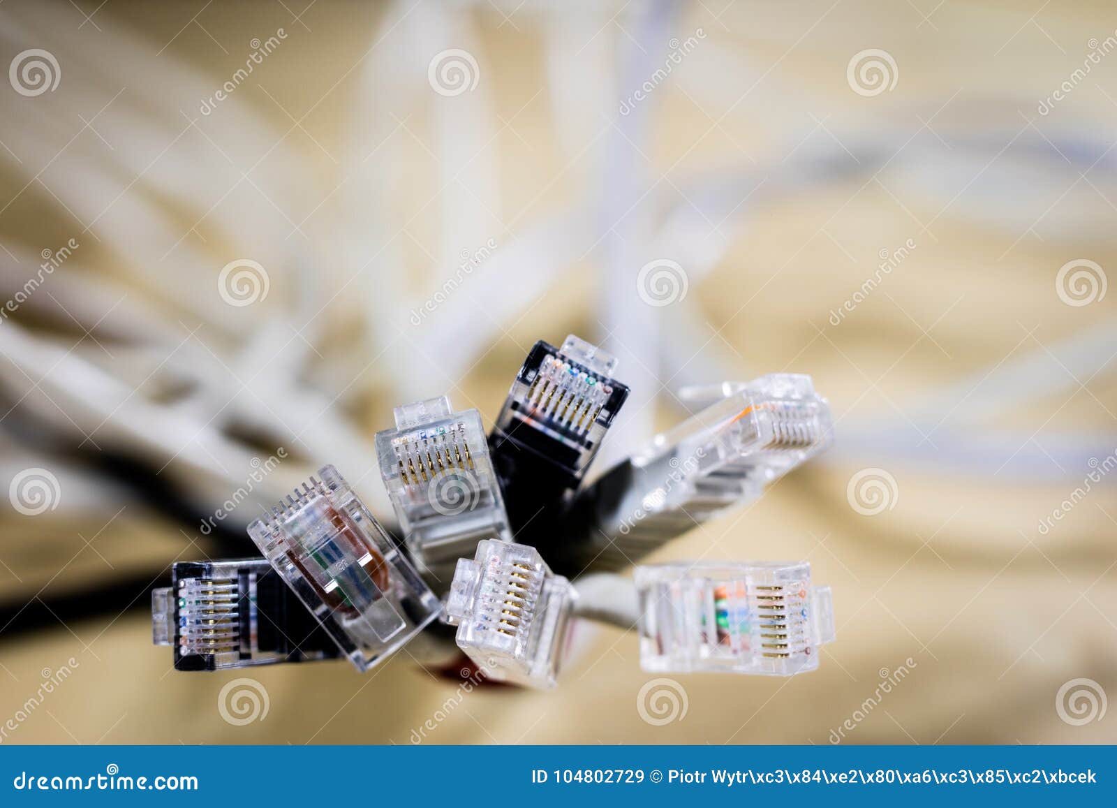 Network Hub and Rj45 Cables on the Stage. Computer Accessories U Stock ...