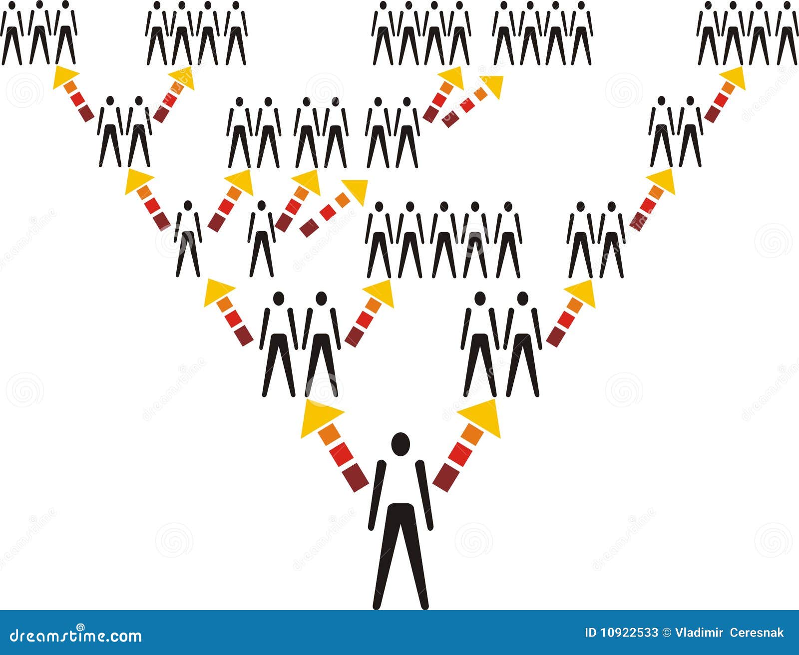 Network human structure stock vector. Illustration of isolated - 10922533