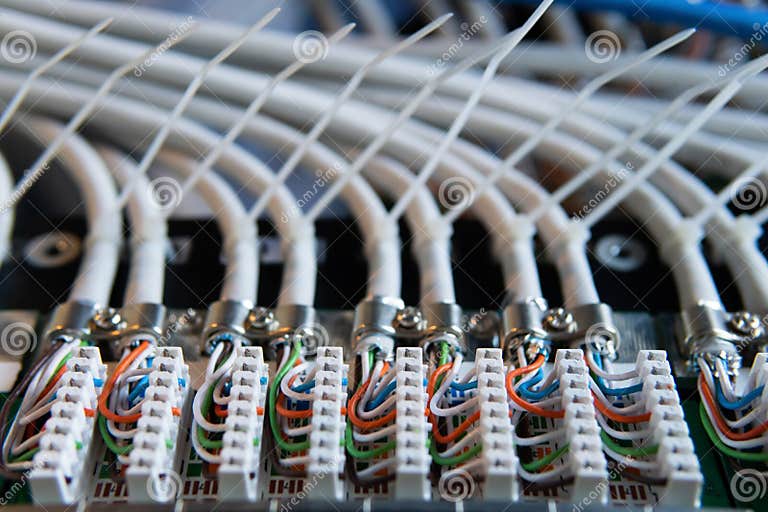 Network Installation. Network Cable on a Network HUB Stock Photo ...