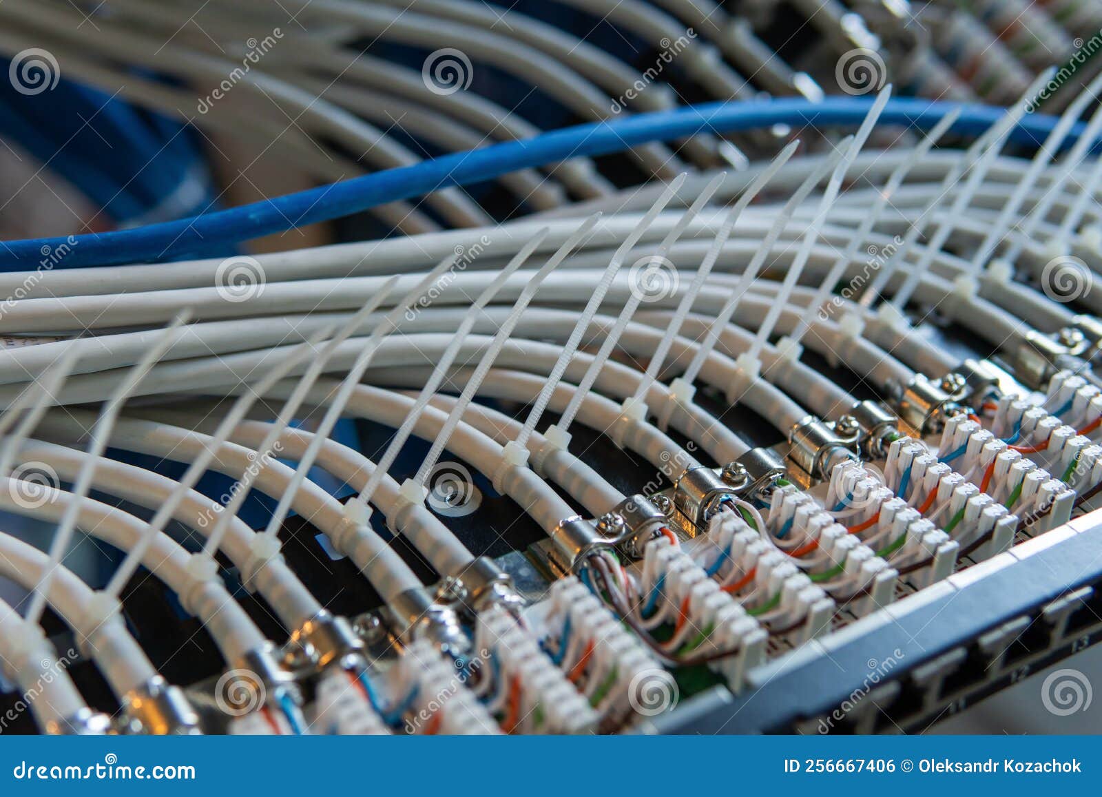 Network Installation. Network Cable on a Network HUB Stock Photo ...